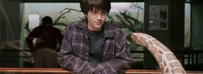 Week-end Harry Potter à Londres: séjour avec circuit